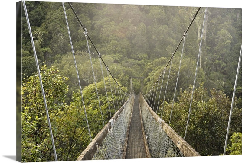 Swingbridge, Motu Falls, Motu, Gisborne, North Island, New Zealand ...