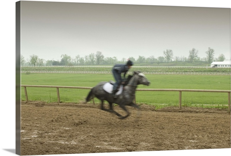 The Thoroughbred Center, Lexington, Kentucky | Great Big Canvas