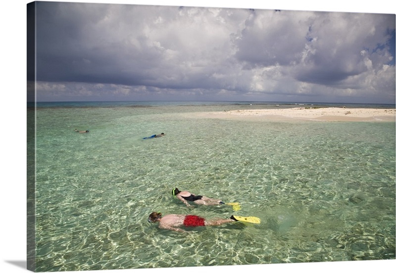 Tourists snorkelling, Bird Island, Belize, Central America | Great Big ...