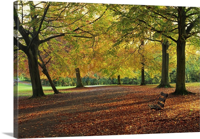 Trees in autumn colours and park, Clifton, Bristol, England | Great Big ...