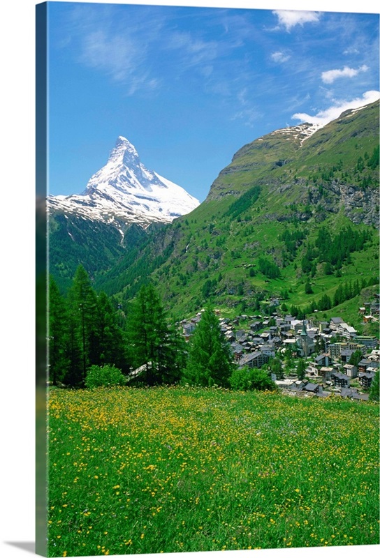 Wild flowers in a meadow with the town of Zermatt and the Matterhorn ...
