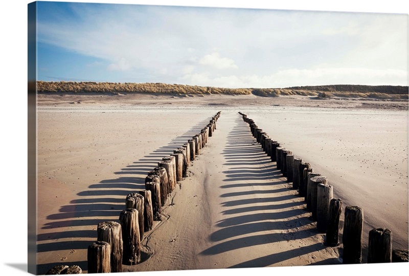 Wooden groynes on a sandy beach, leading to sand dunes, Zeeland, The ...