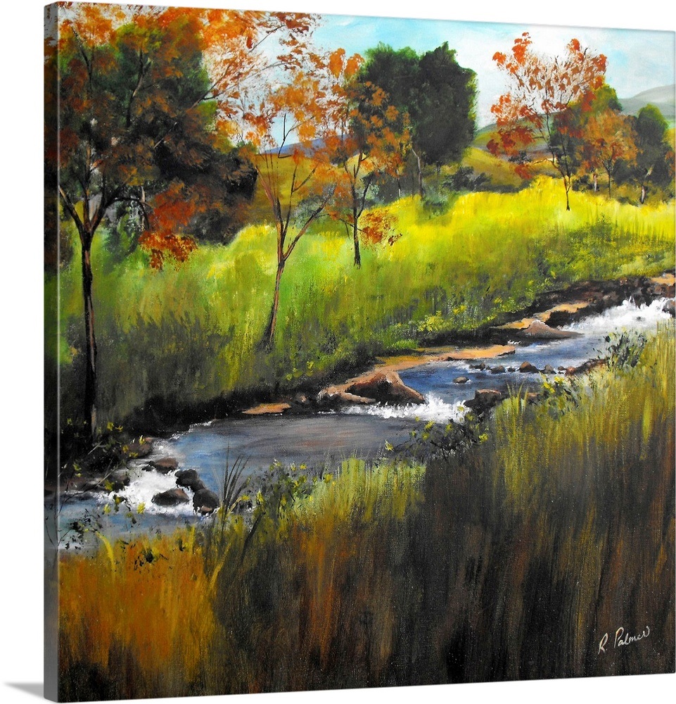 Rocky Stream Wall Art, Canvas Prints, Framed Prints, Wall Peels | Great ...