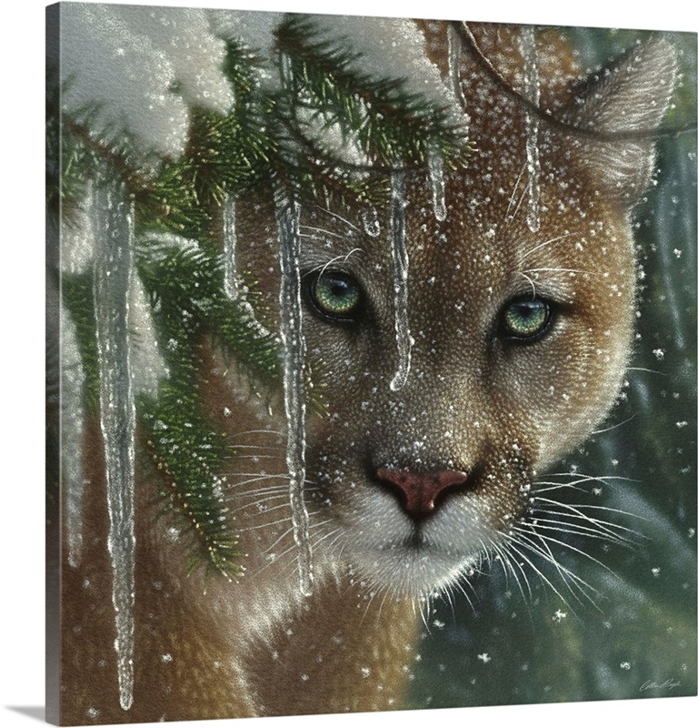 Cougar - Frozen Wall Art, Canvas Prints, Framed Prints, Wall Peels ...