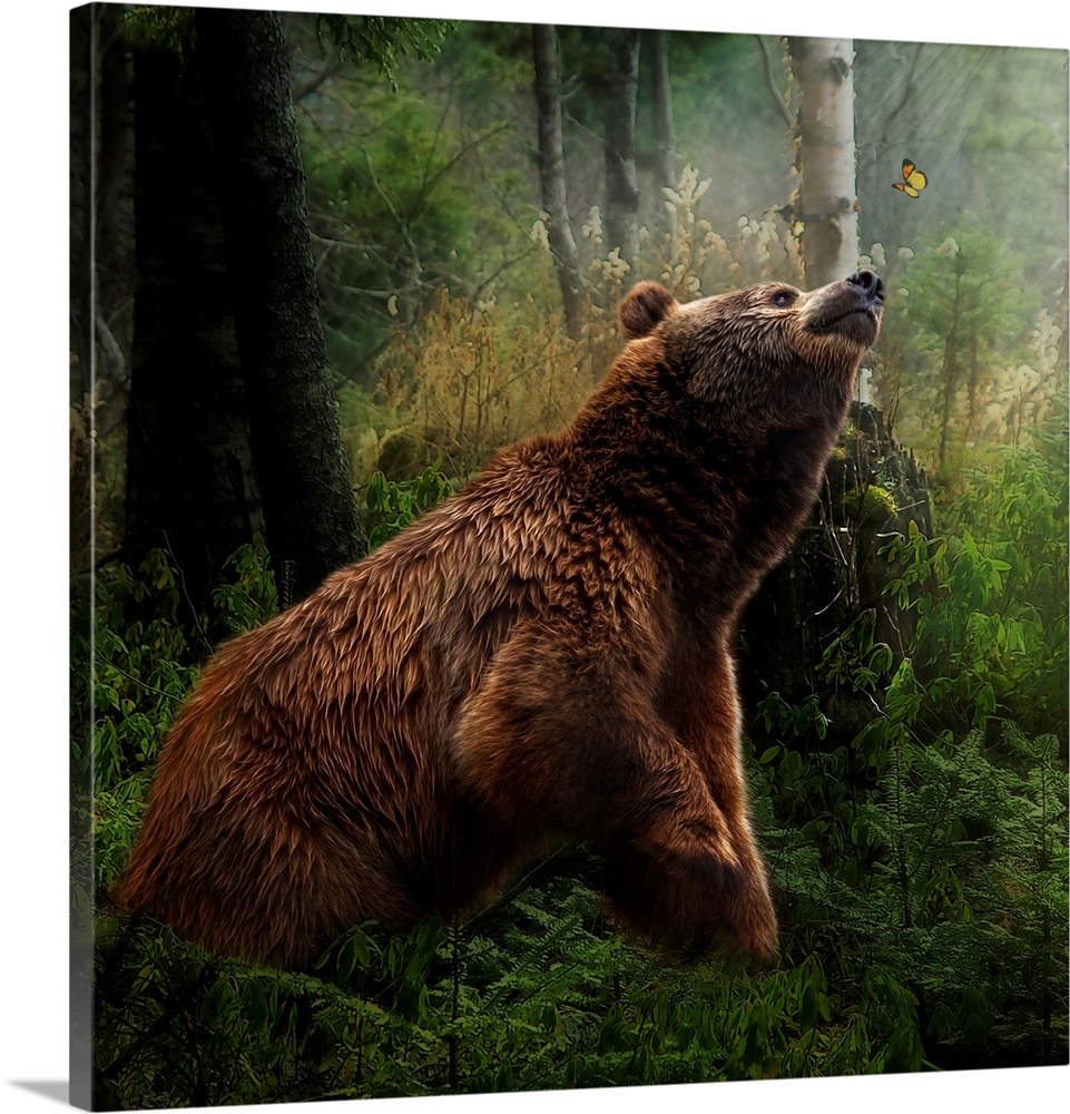 Curiosity Wall Art, Canvas Prints, Framed Prints, Wall Peels | Great ...