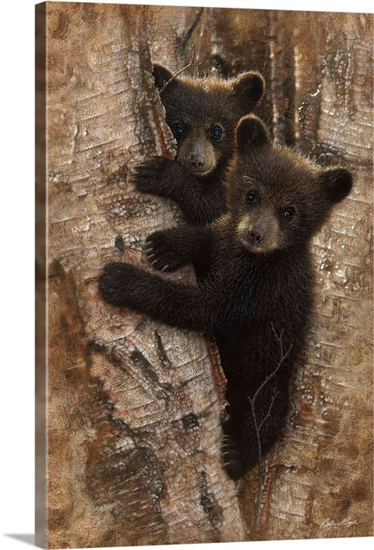 Curious Cubs Wall Art, Canvas Prints, Framed Prints, Wall Peels | Great ...