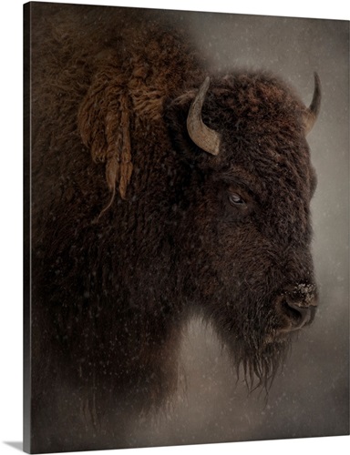 Deep Freeze Wall Art, Canvas Prints, Framed Prints, Wall Peels | Great ...