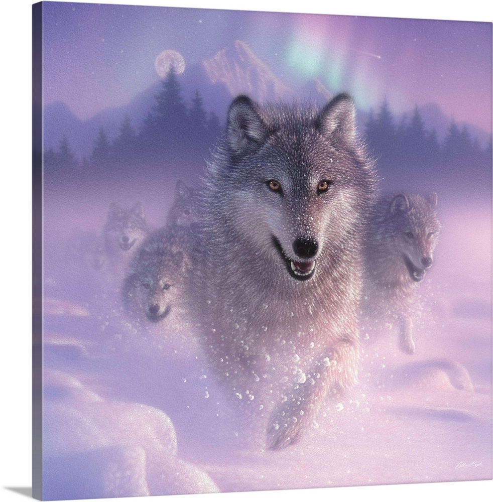 Running Wolves - Northern Lights - Square Wall Art, Canvas Prints ...