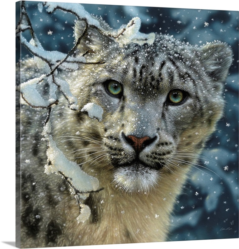 Snow Leopard Wall Art, Canvas Prints, Framed Prints, Wall Peels | Great ...