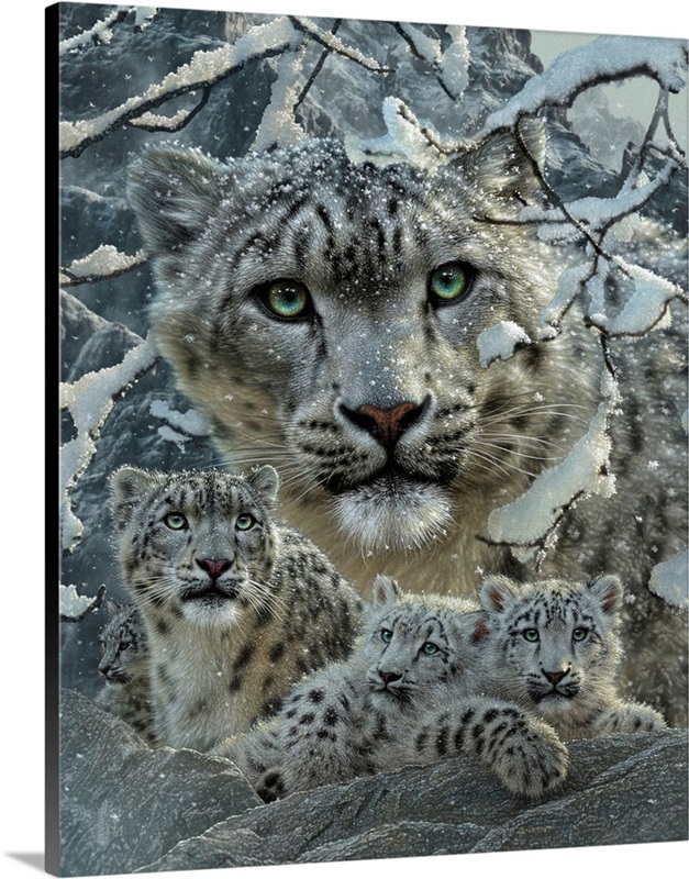 Snow Leopard Collage Wall Art, Canvas Prints, Framed Prints, Wall Peels ...