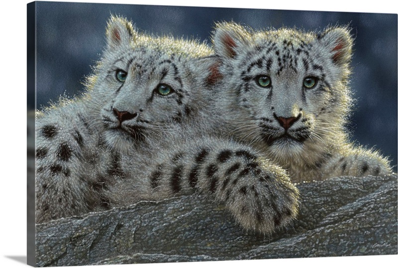 Snow Leopard Cubs Wall Art, Canvas Prints, Framed Prints, Wall Peels ...