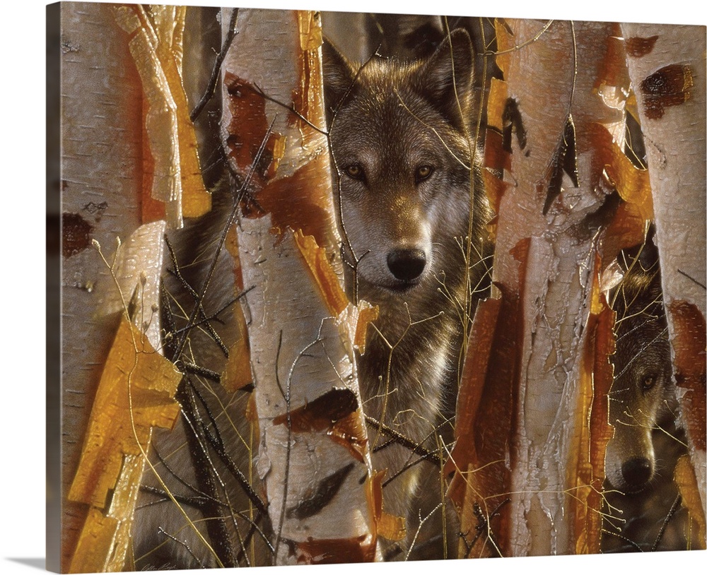 Wolves - The Guardian Wall Art, Canvas Prints, Framed Prints, Wall ...