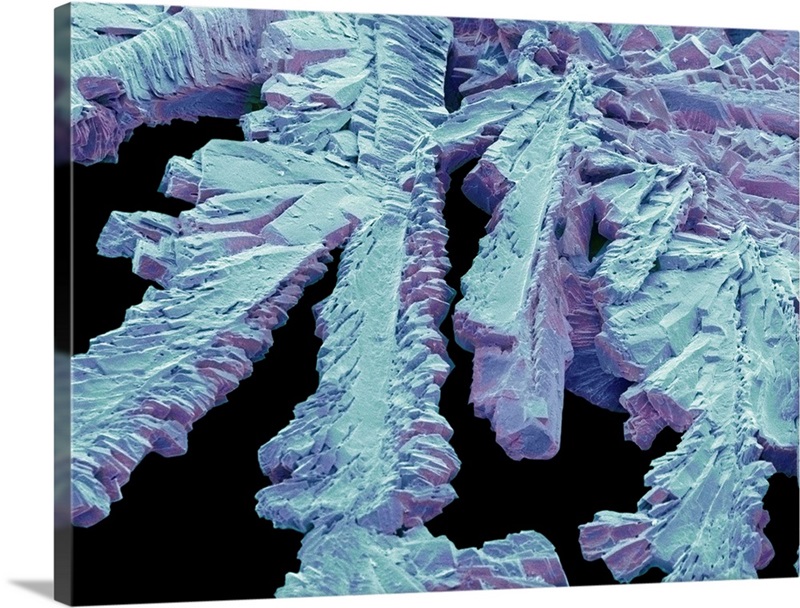 Antihistamine drug crystals, SEM | Great Big Canvas