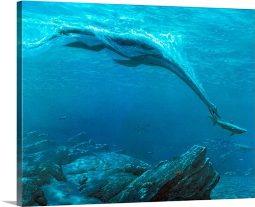 Artwork of a plesiosaur dinosaur hunting | Great Big Canvas