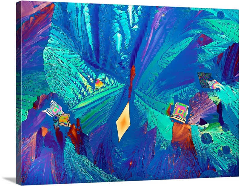 Asparagine Crystals, Light Micrograph | Great Big Canvas