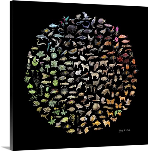 Biodiversity, Conceptual Illustration | Great Big Canvas