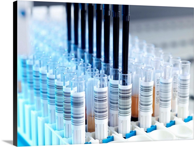 Blood screening | Great Big Canvas