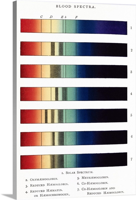 Blood spectra, 19th century artwork | Great Big Canvas