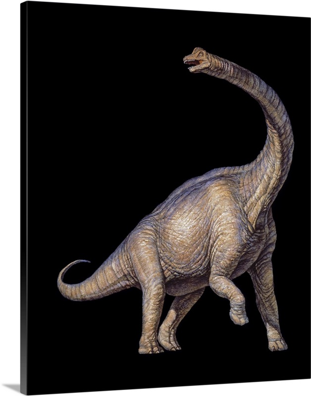 Brachiosaurus | Great Big Canvas