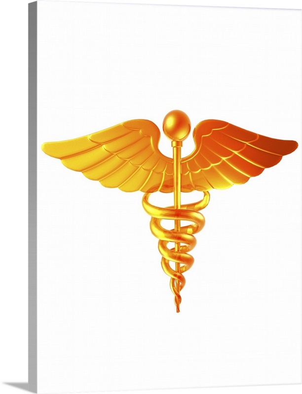 Caduceus, artwork | Great Big Canvas