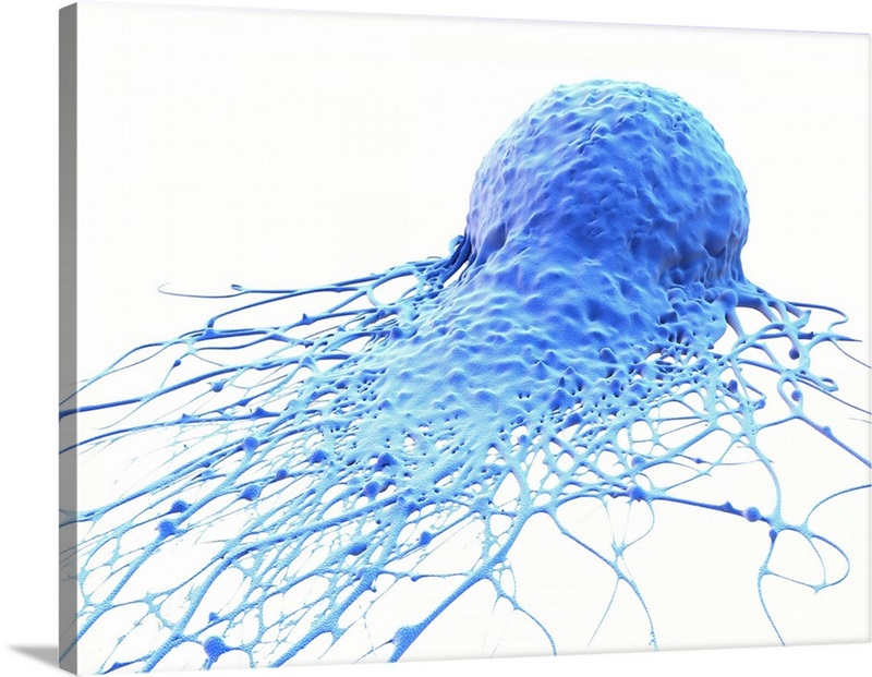 Cancer Cell, Illustration | Great Big Canvas