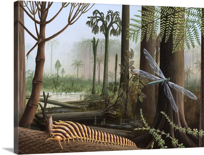 Carboniferous insects, artwork | Great Big Canvas