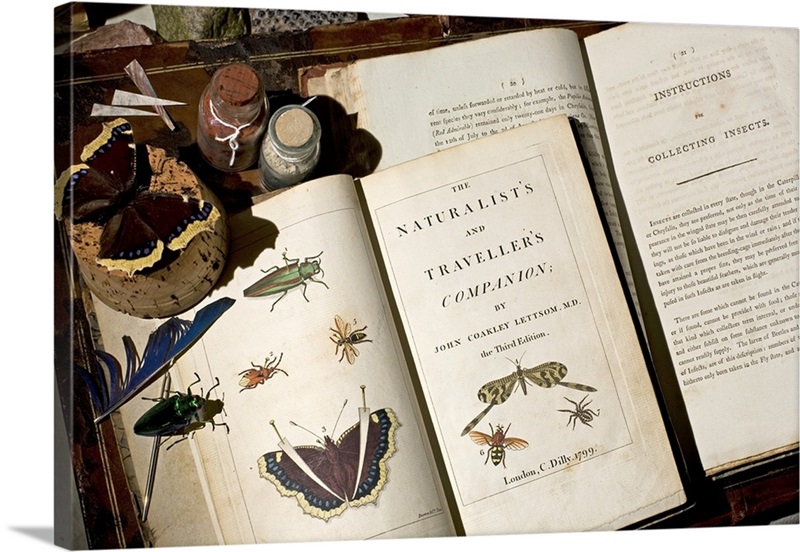 Early naturalist collecting guide books | Great Big Canvas