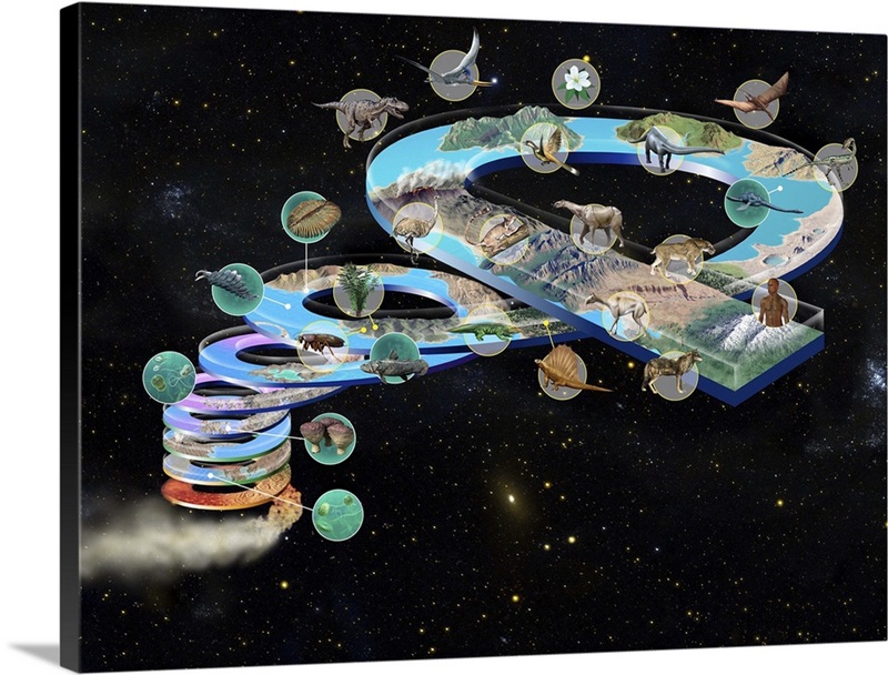 Evolution of life, artwork | Great Big Canvas