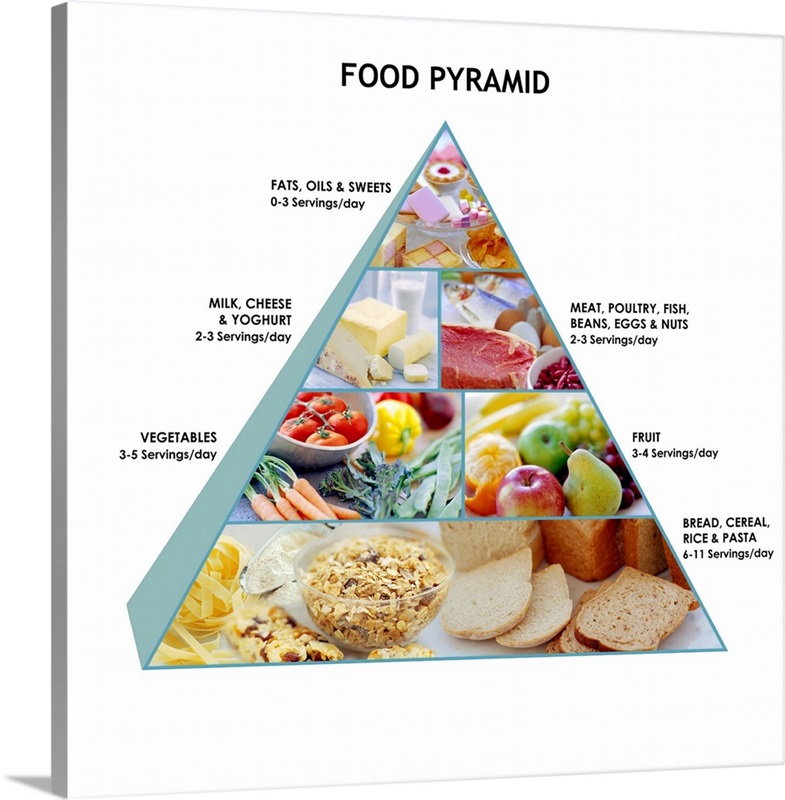 Food pyramid | Great Big Canvas