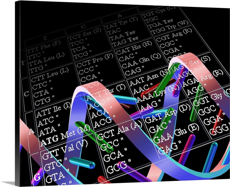 Genetic code | Great Big Canvas