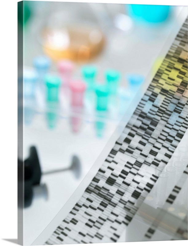 Genetic research | Great Big Canvas