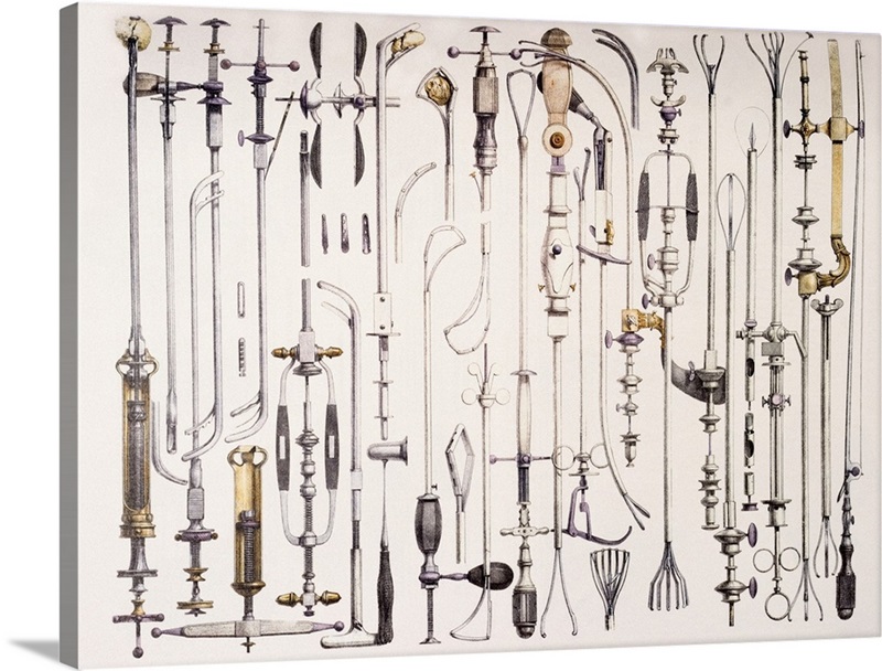 Instruments for removing bladder stones | Great Big Canvas