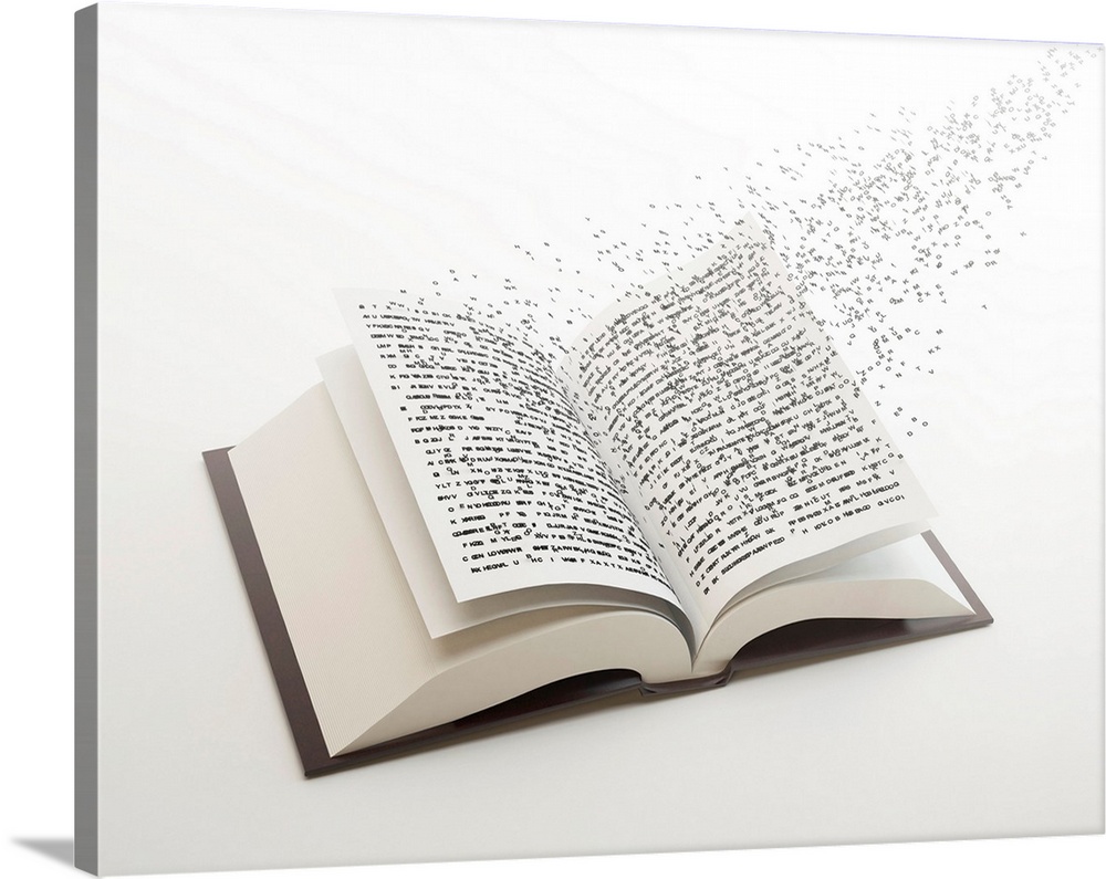 Knowledge, Conceptual Artwork | Great Big Canvas