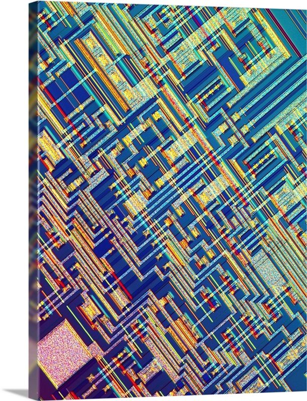 Microchip, light micrograph | Great Big Canvas
