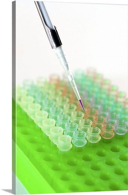 Multiwell sample tray | Great Big Canvas