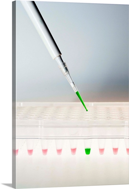 Multiwell sample tray | Great Big Canvas