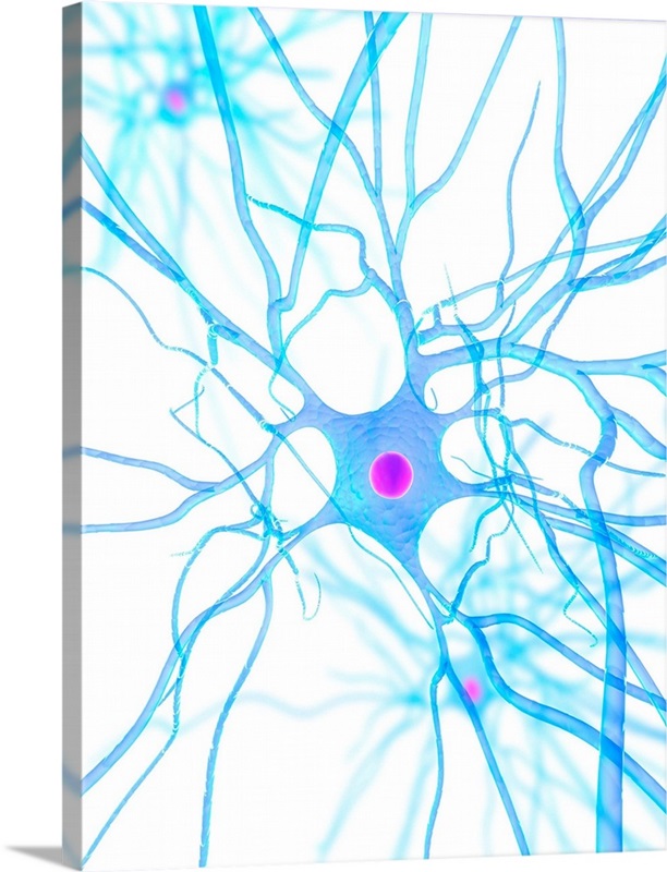 Nerve cell, artwork | Great Big Canvas