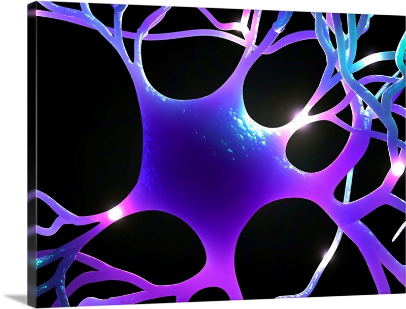 Nerve cell, artwork | Great Big Canvas