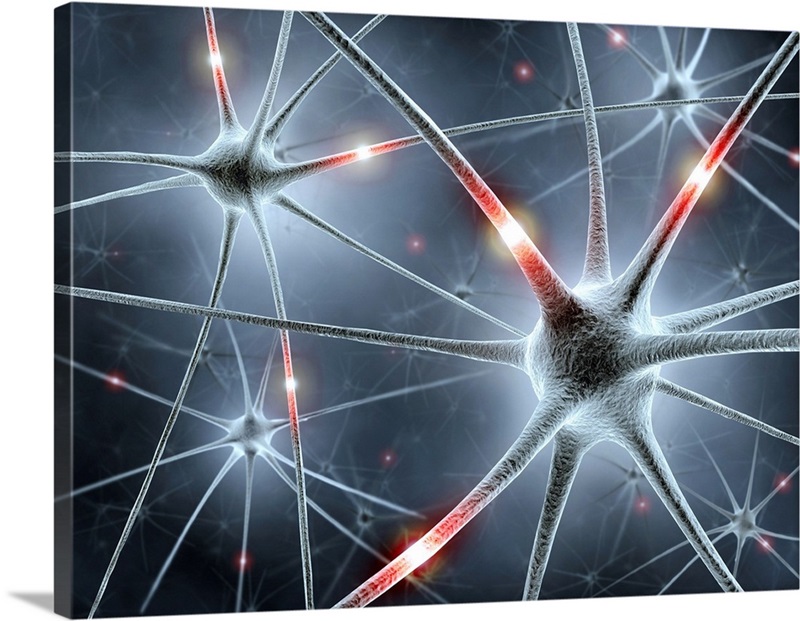 Neural Network, Artwork | Great Big Canvas