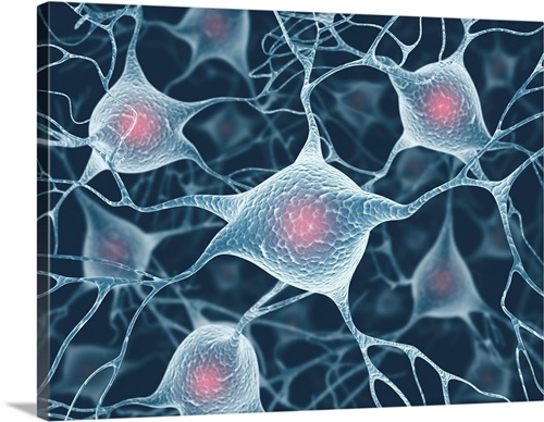 Neural Network, Artwork Wall Art, Canvas Prints, Framed Prints, Wall ...