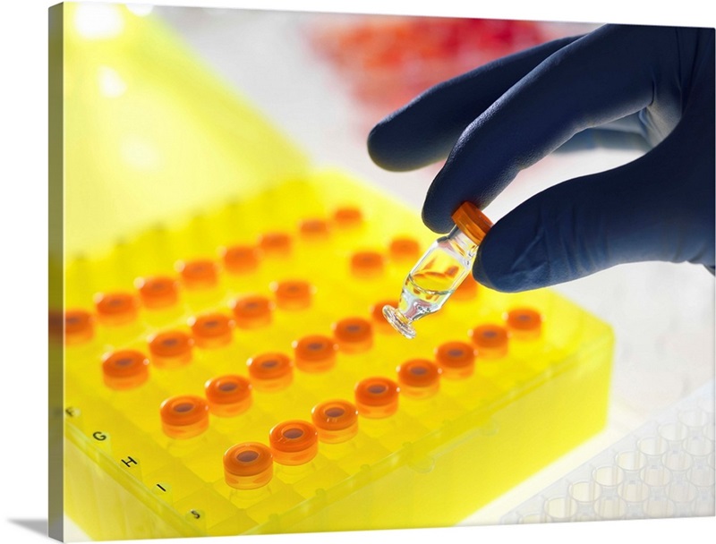 Sample preparation | Great Big Canvas