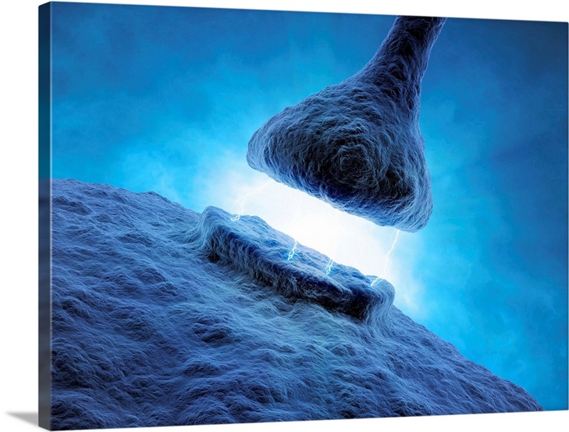 Synapse, Artwork | Great Big Canvas