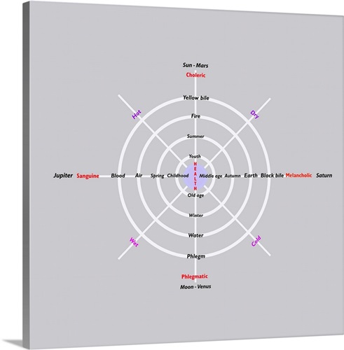 The four humours, diagram | Great Big Canvas