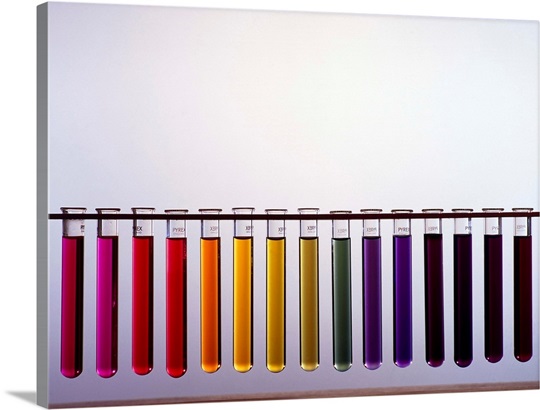 Universal Indicator Scale Photograph By Andrew Lambert