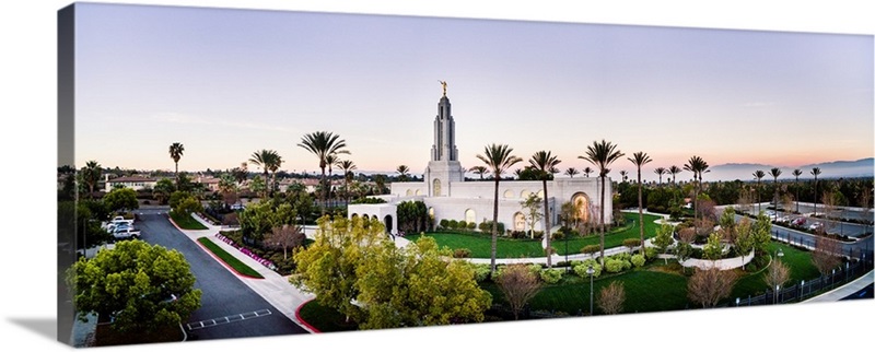 Redlands California Temple, Palm Trees and the Horizon, Redlands ...