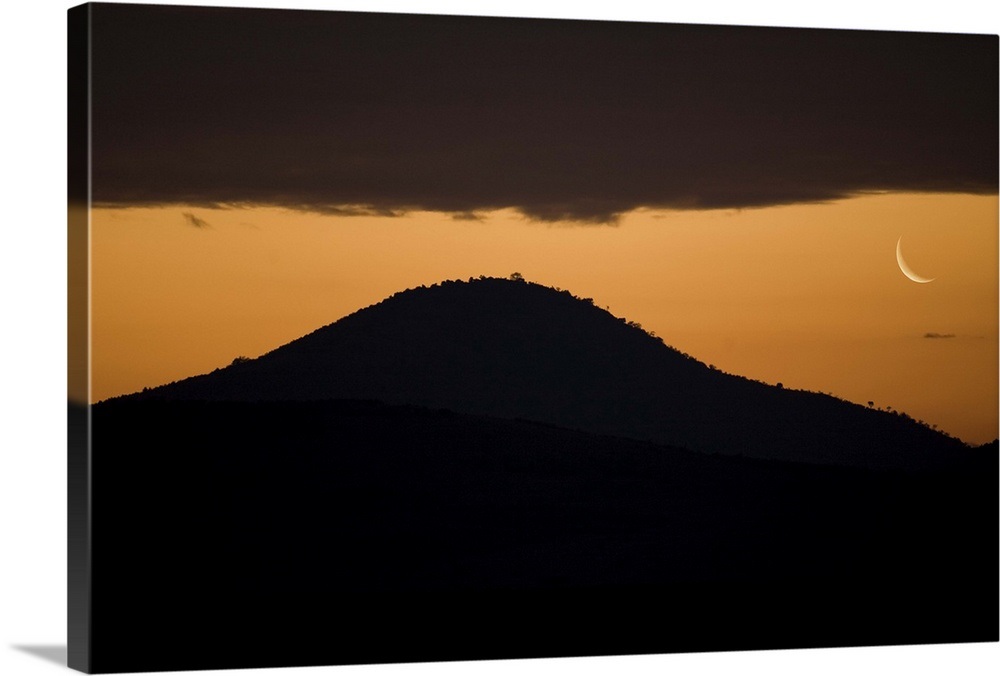 African Moonrise Wall Art, Canvas Prints, Framed Prints, Wall Peels ...