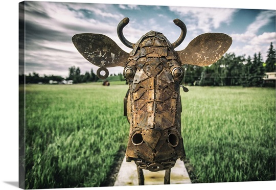 Metal cow sculpture in the Palouse, Washington Wall Art, Canvas Prints ...