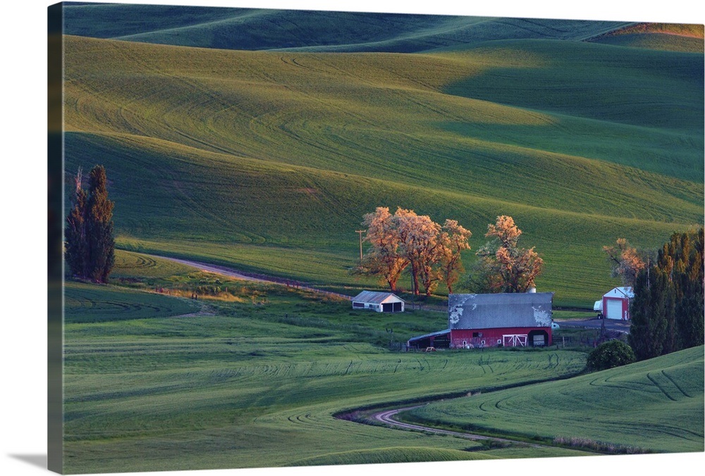 Rolling hills and barns in the Palouse region of Washington State Wall ...
