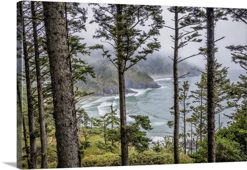 The Forest And Coast On The Oregon Coast | Great Big Canvas