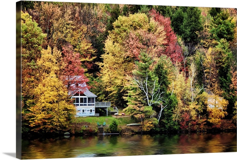 Trees and lake with fall color in Vermont | Great Big Canvas